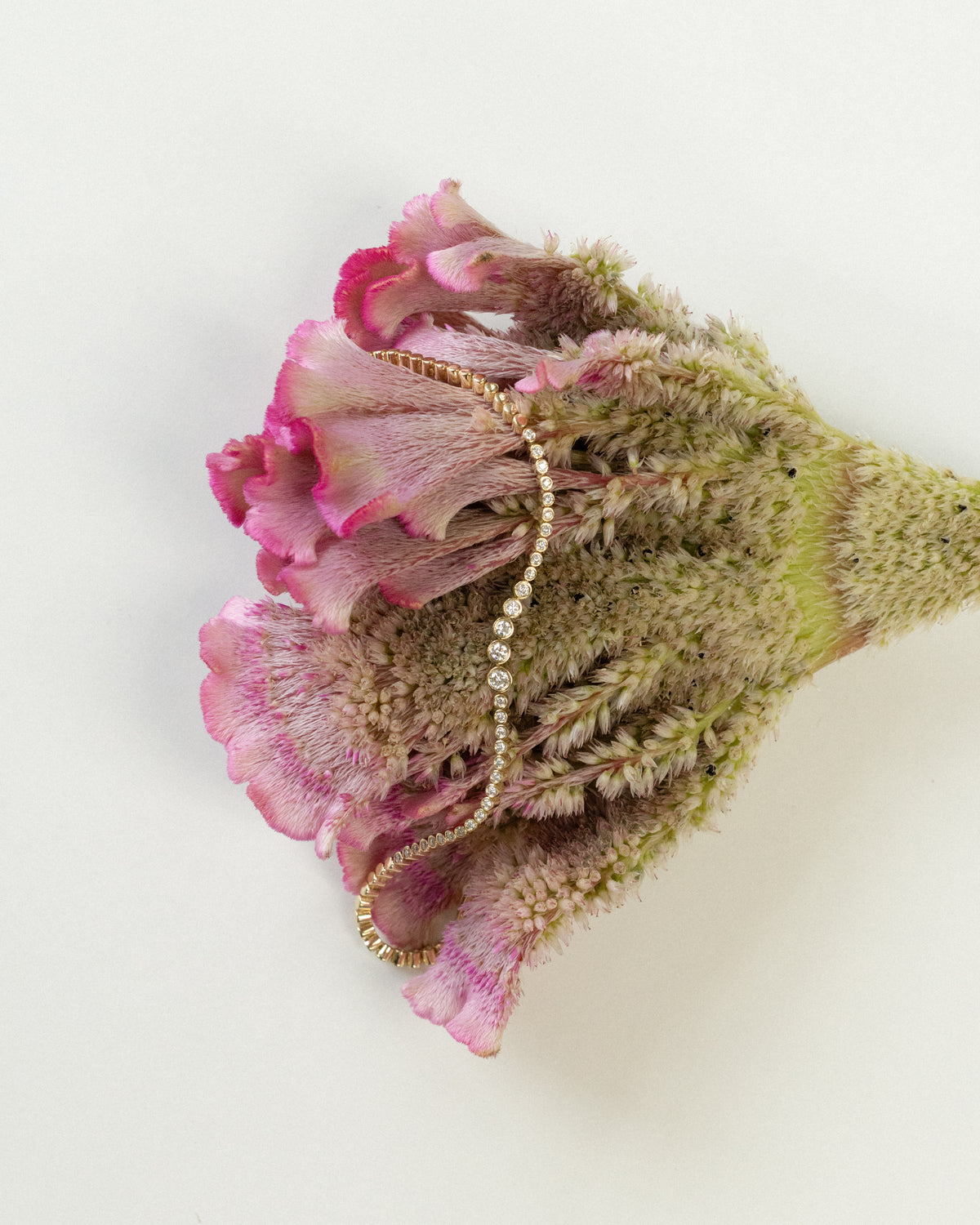 APRIL FIRST - CURATED MULTIBRAND STORE BERLIN